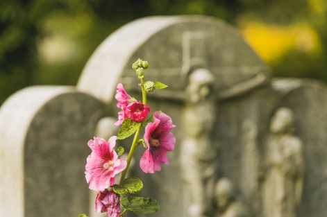 Ostfriedhof | stadt.sg.ch